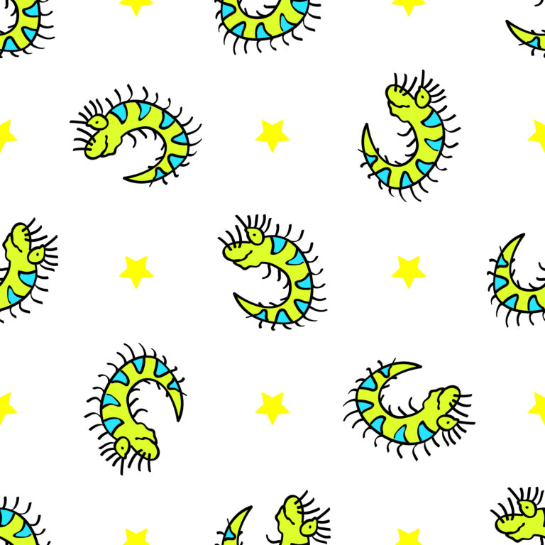 「フェス」に関する記事｜MERY